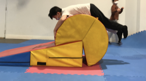 Holistic Development - Lisha Shi