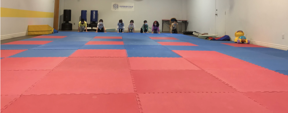 Holistic Development - Lisha Shi