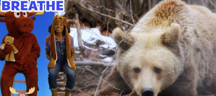 Holistic Development - Lisha Shi