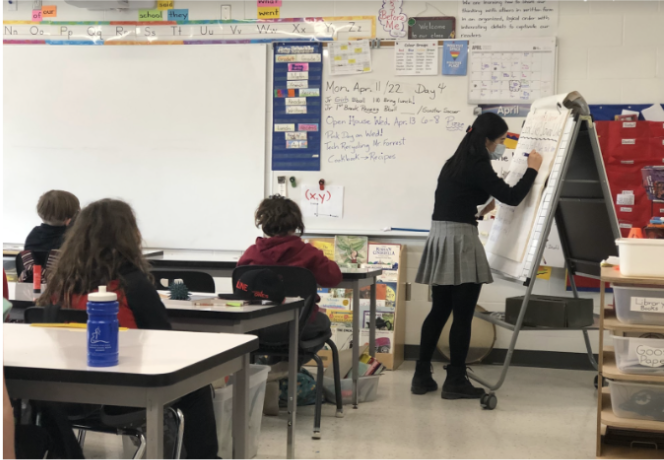 Professional Development - Lisha Shi